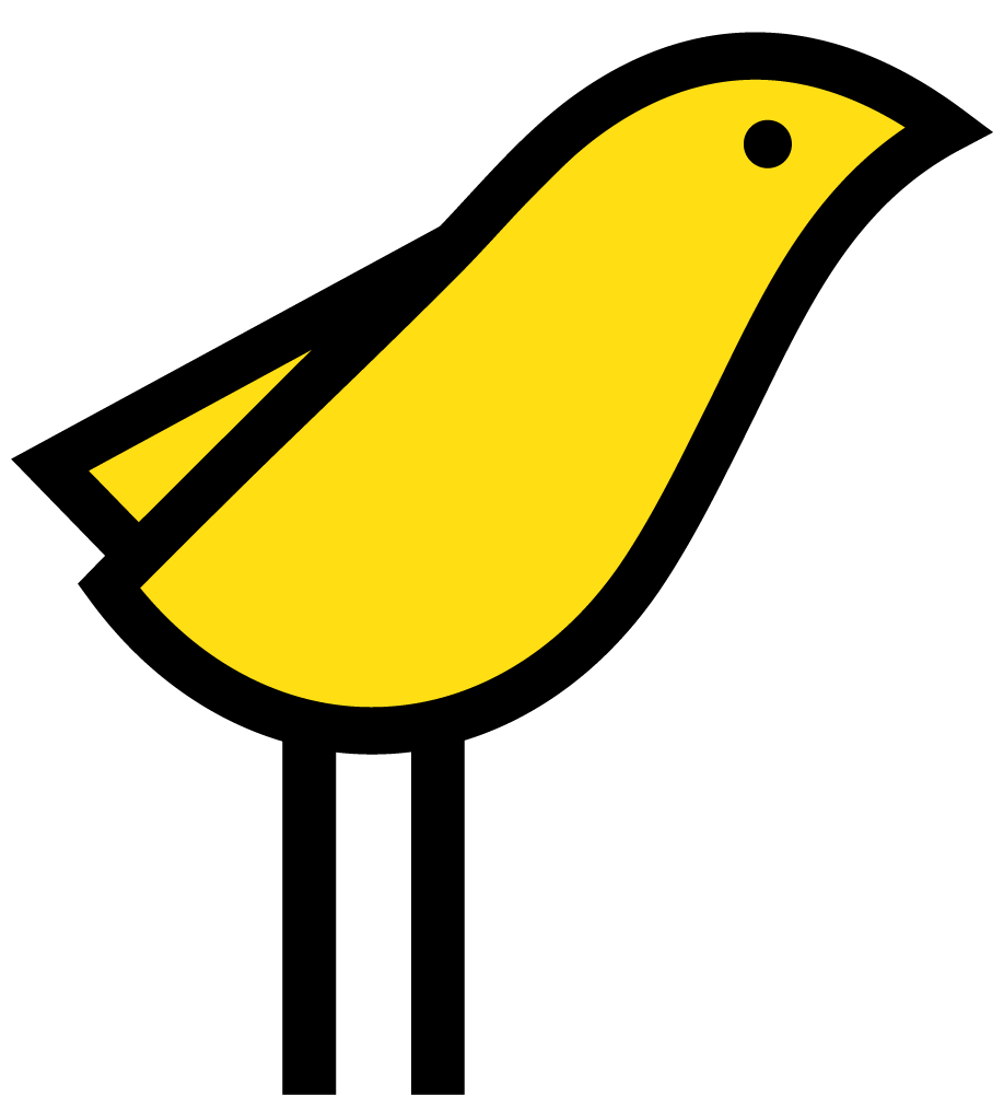 Yellow Canary